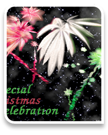 Marijuana Xmas Cards/ Christmas Cards